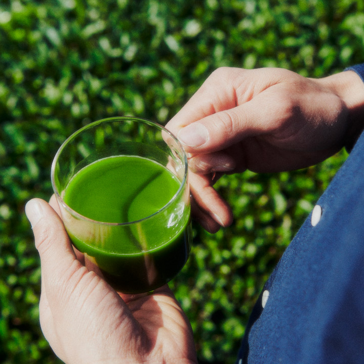 Our Matcha | Nekohama